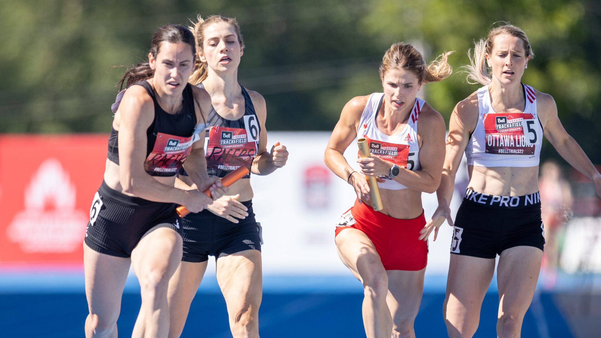 Lions add 10 medals on final day of Canadian Championship - Ottawa ...